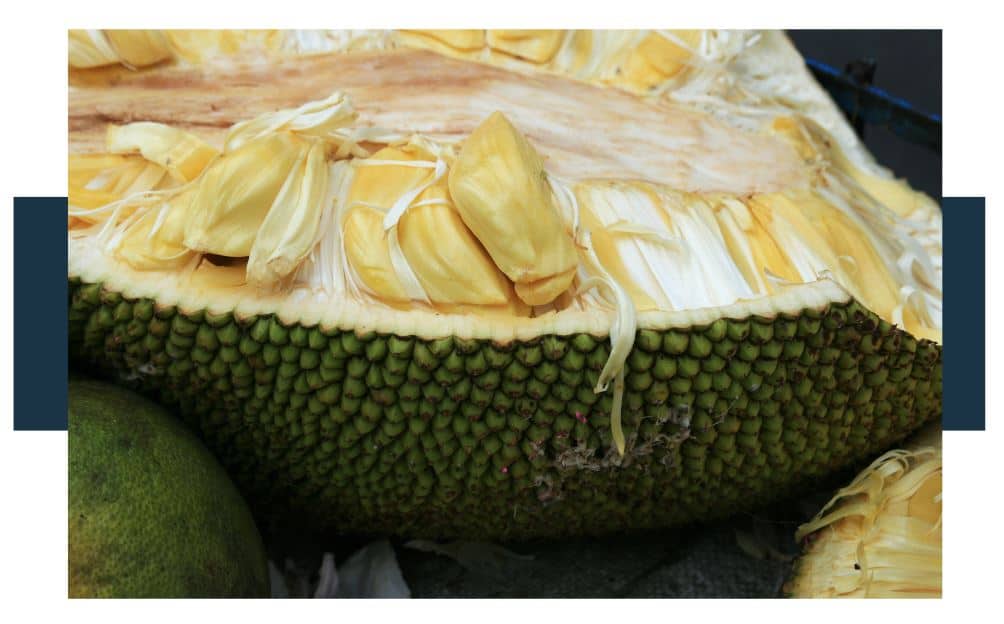 What’s the Difference Between Jackfruit and Durian? - Eat For Longer