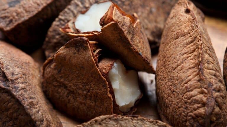 how-many-brazil-nuts-per-day