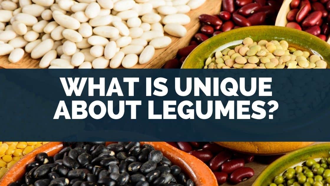 What Is Unique About Legumes? [LIST & Benefits] - Eat For Longer