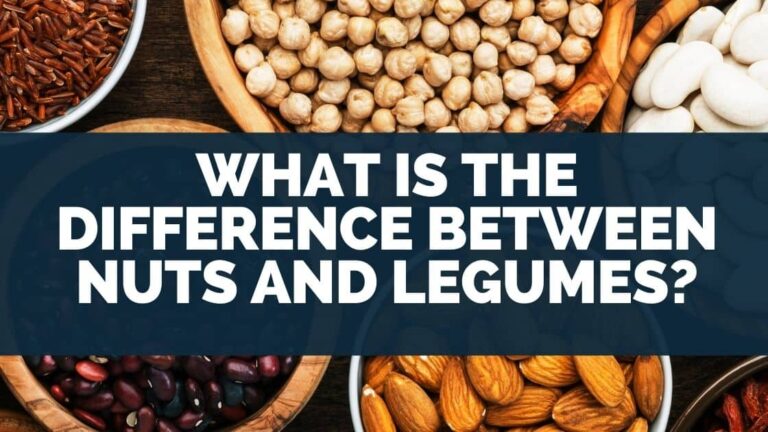 What Is The Difference Between Nuts And Legumes?