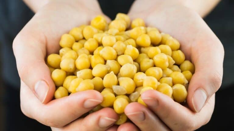 What Are Six Types Of Legumes? [Classification & Variety LIST]