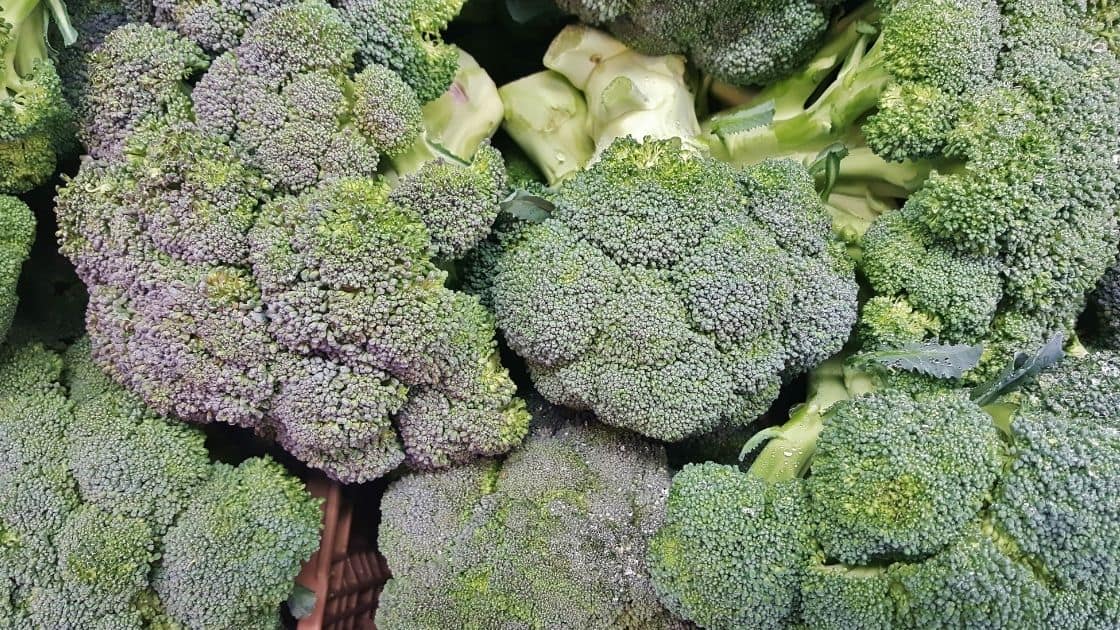 What Is Vegetable Cellulose? [Hidden In These Foods...]