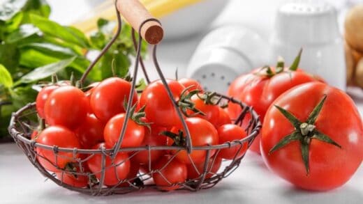 Undigested Tomato In Stool [Good Gut Health]