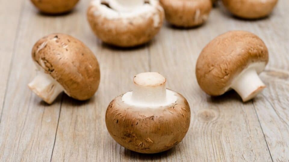 What Happens If You Eat Old Rotten Mushrooms?