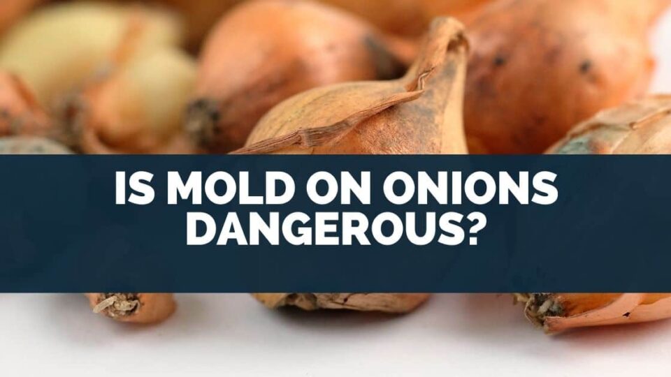 Is Mold On Onions Dangerous? [What Happens If You Eat]