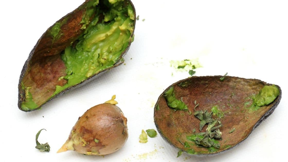 Can You Eat Avocado Skin? (Healthy Or BAD For You)
