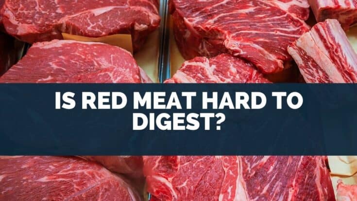 Is Red Meat Hard To Digest?