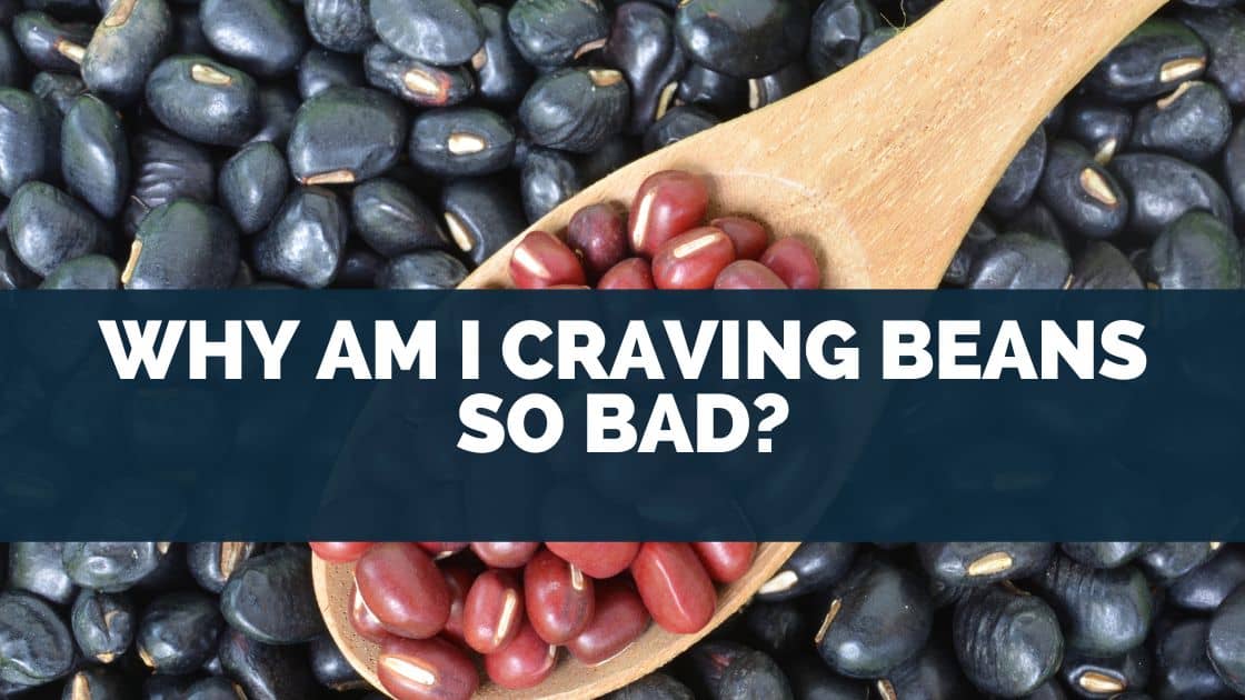 Eat For Longer - Food Insights For Longevity, Wellbeing, Wellness